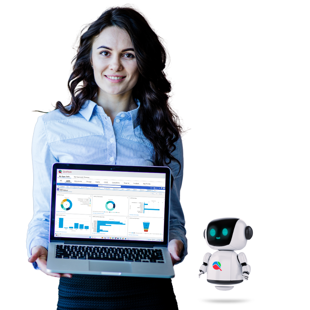 What is an Audit Management System?